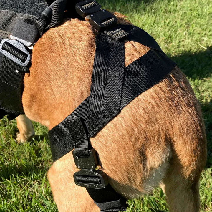 [RECON K-9] HOISTING LEG STRAPS 레펠 레그스트랩 : ALL NECESSARY TACTICS