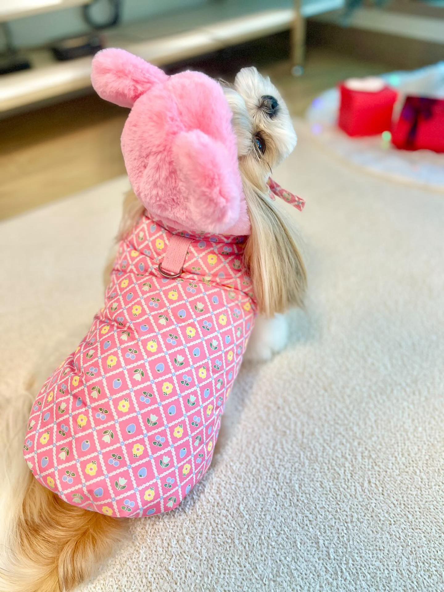 밍구르-캔디 베어 패딩 Candy Bear Padding