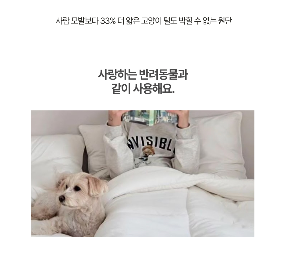 필굿 알러지케어 사계절 이불세트 크림화이트(SS/QK/SK) - 감도 깊은 취향 셀렉트샵 29CM