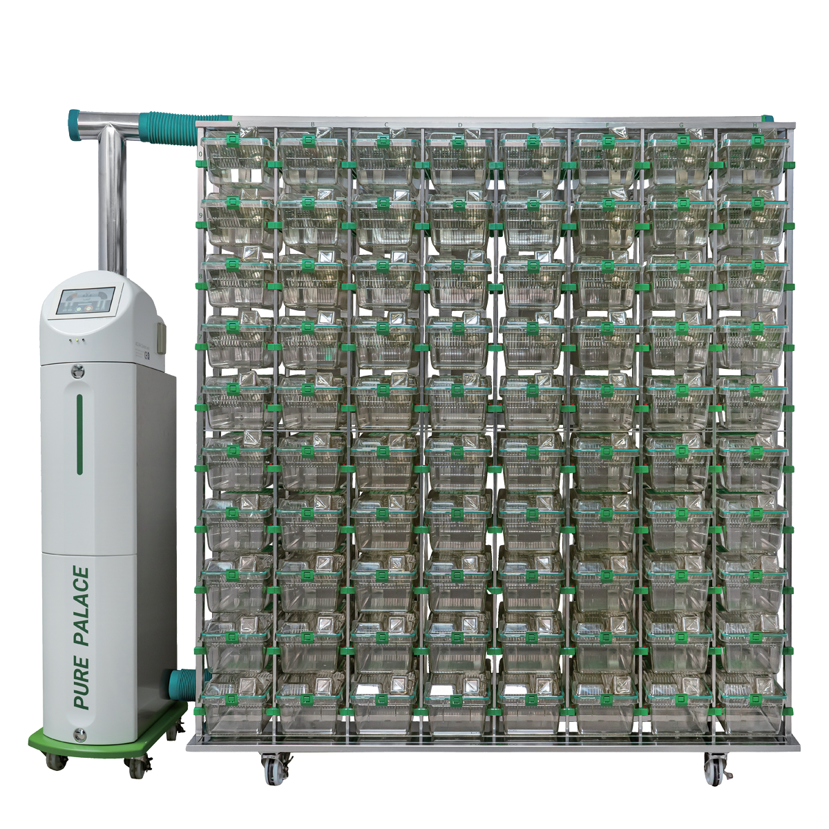 라온바이오(주) | 장비 > 동물사육 > IVC RACK