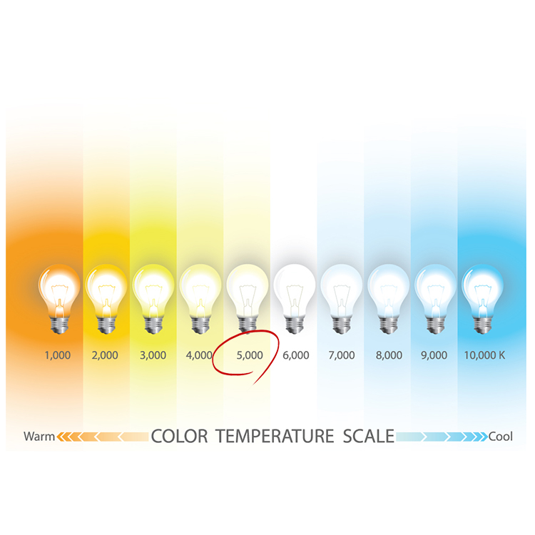 LED 3001 (25W) : 스타루체 (옥외용 조명기구의 名家)