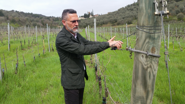 세파이올로, 세파로쏘20 : DEEP BOTTLE