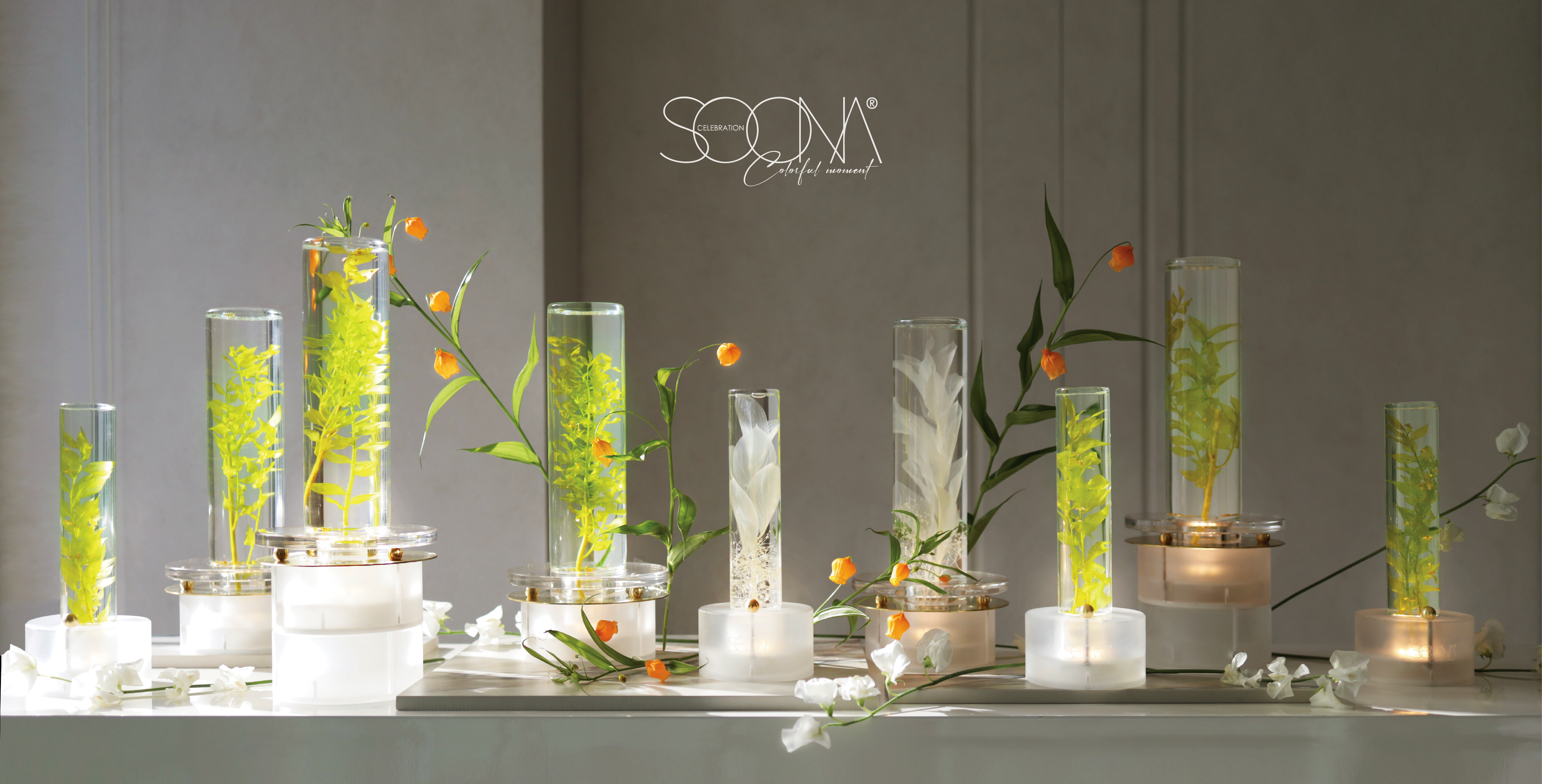 SOONA 수나컬러풀모먼트