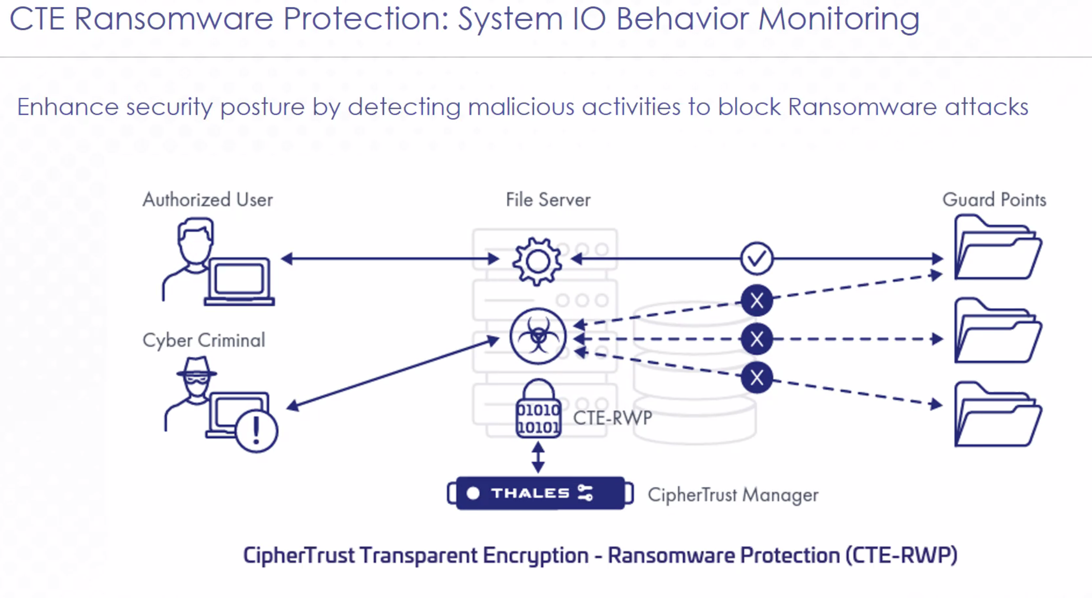 CTE-RWP(CipherTrust Transparent Encryption Lomanware Protection) : blog