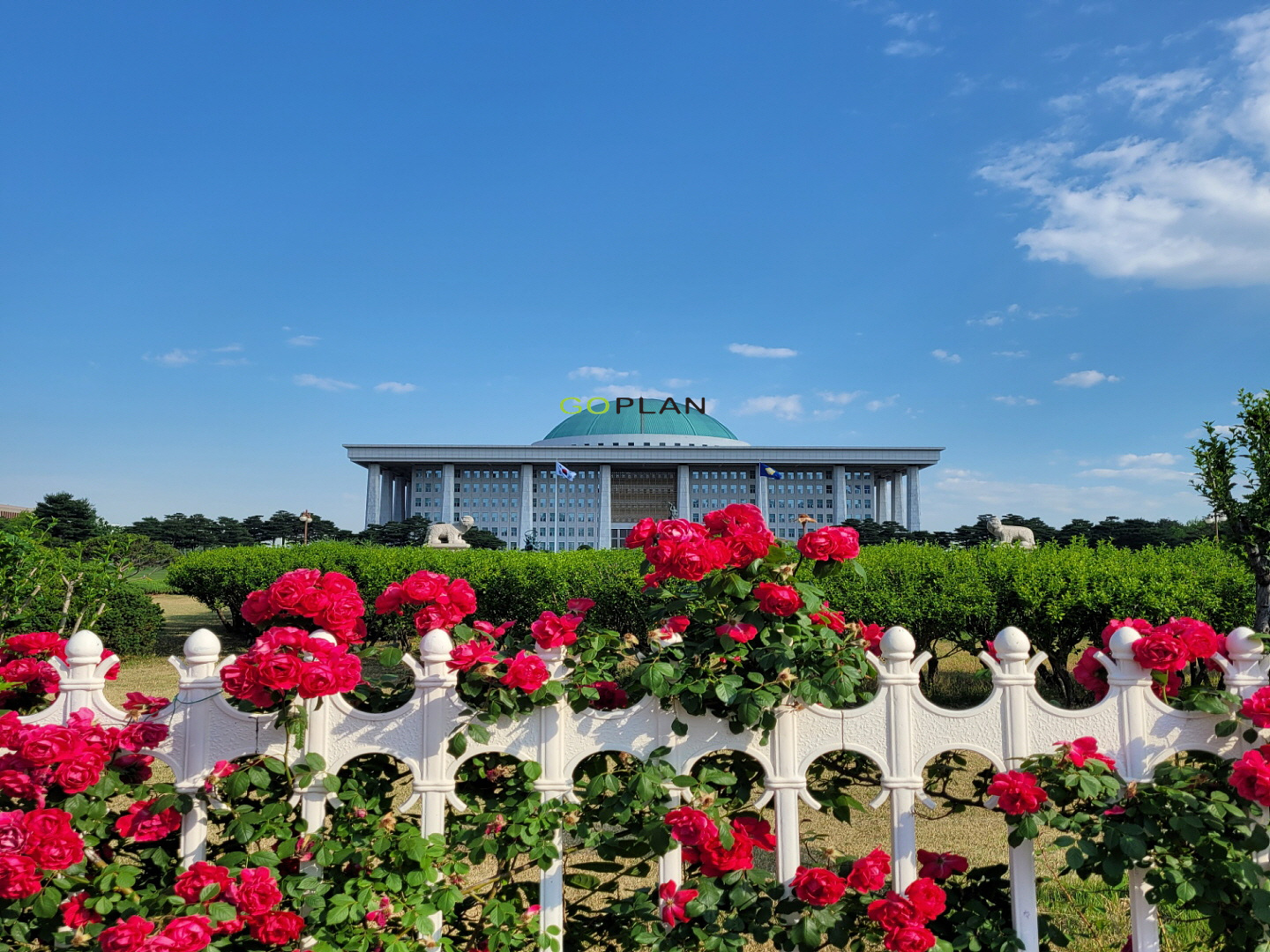 2022 세계금연의날 : 고플랜GOPLAN