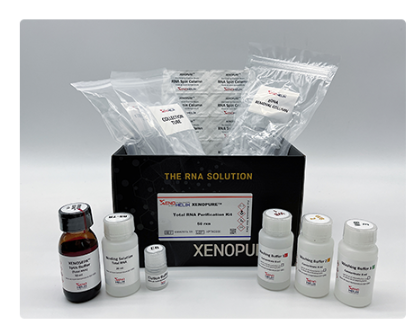 XENOPURE™ - Total RNA Purification Kit : 브랜드소개> Exosome