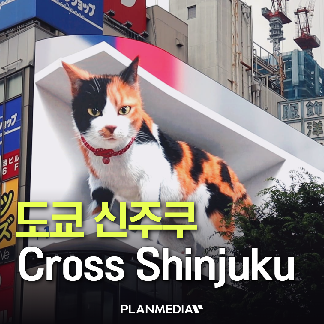 Tokyo, Cross Shinjuku