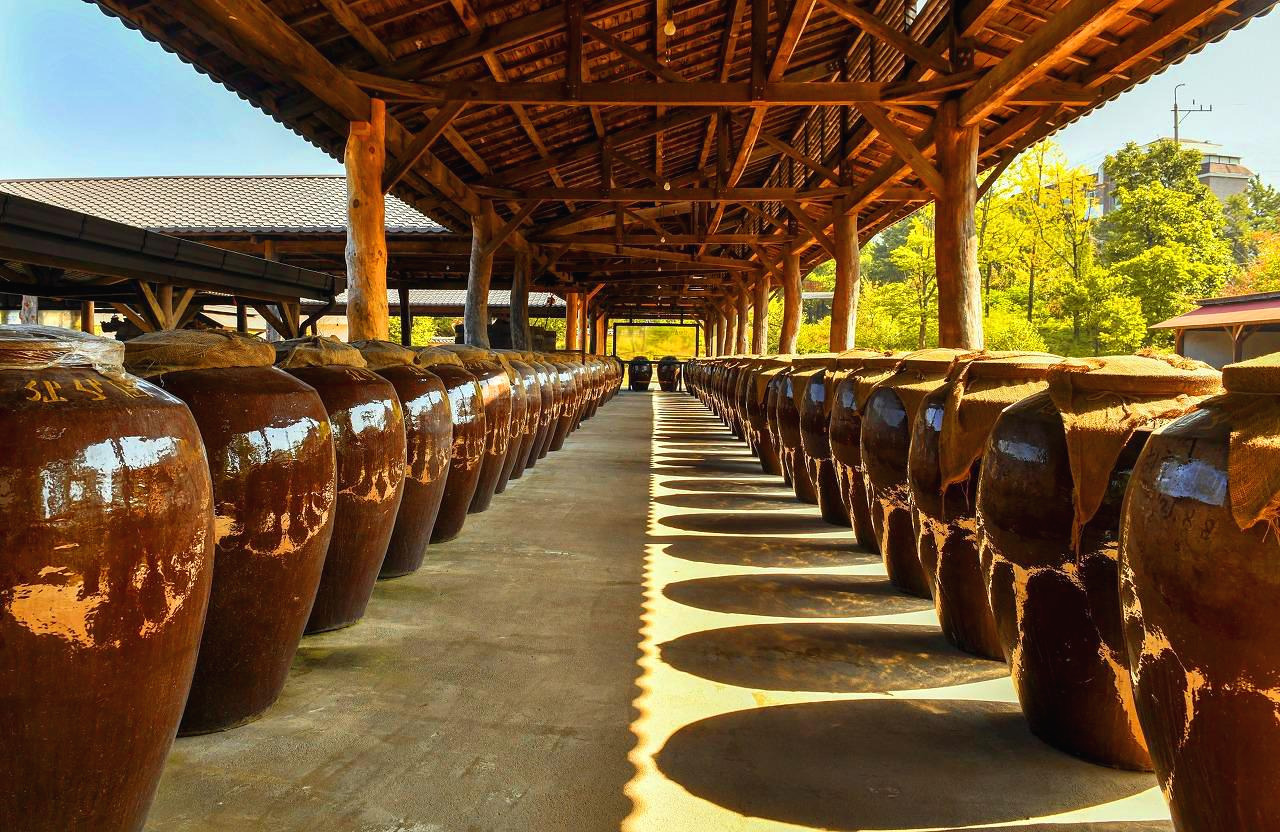 [Tour from PYEONGTAEK] Summertime Family Daycation : Korea Tour Planner