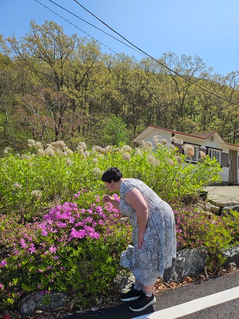4/26 Incheon Spring Getaway : Korea Tour Planner