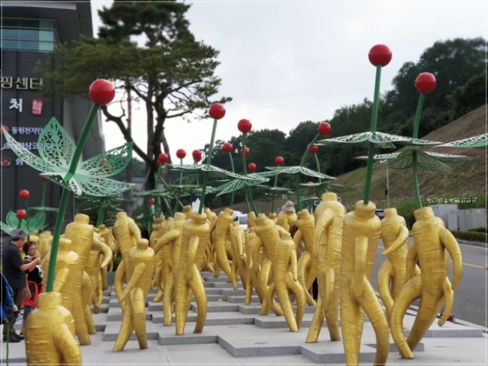 Rejuvenize at the Geumsan Insam Festival! : Korea Tour Planner