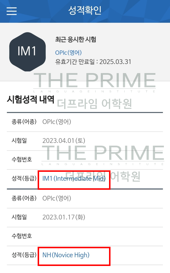 신＊ 록 님 [10hr, IM1] : 수강 후기ㅣ오픽