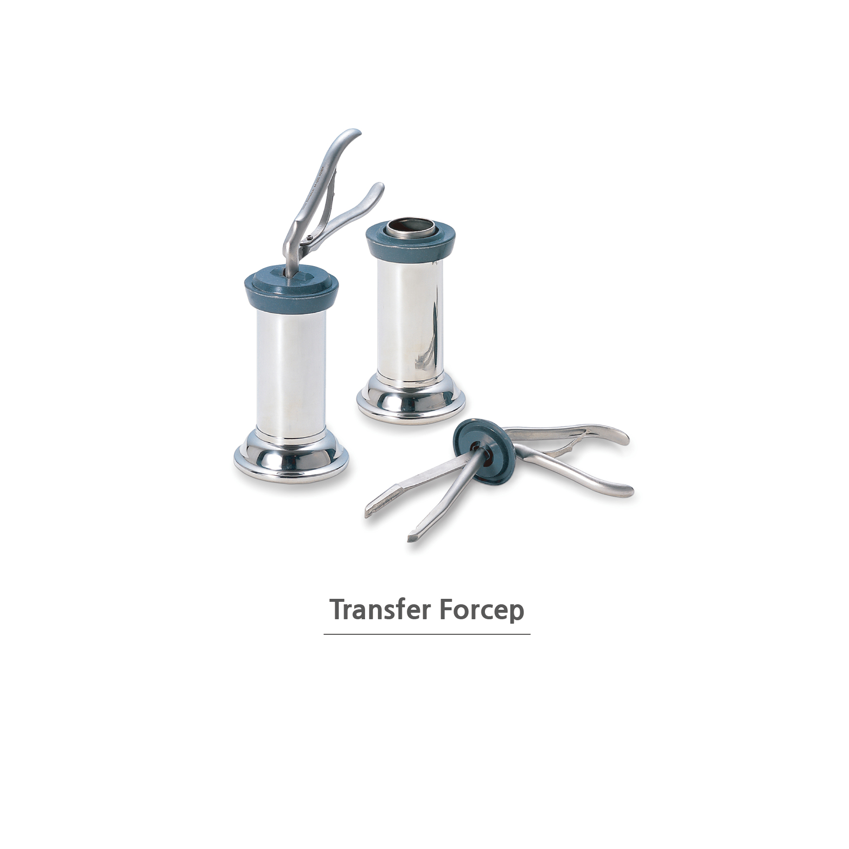 Transfer Forcep : |주|한림의료기