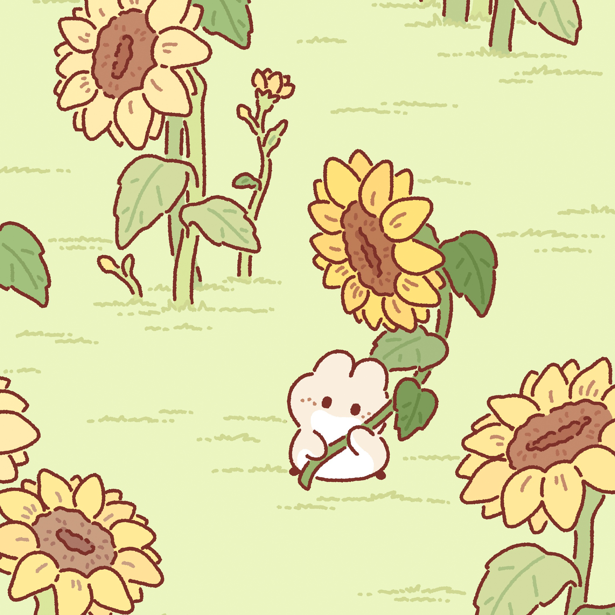 배경화면 공유 | 해바라기 숲 : hwang_daram | 황다람