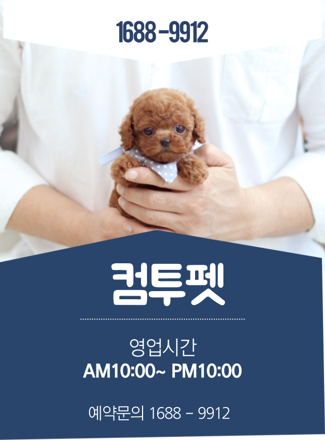 컴투펫케어센터