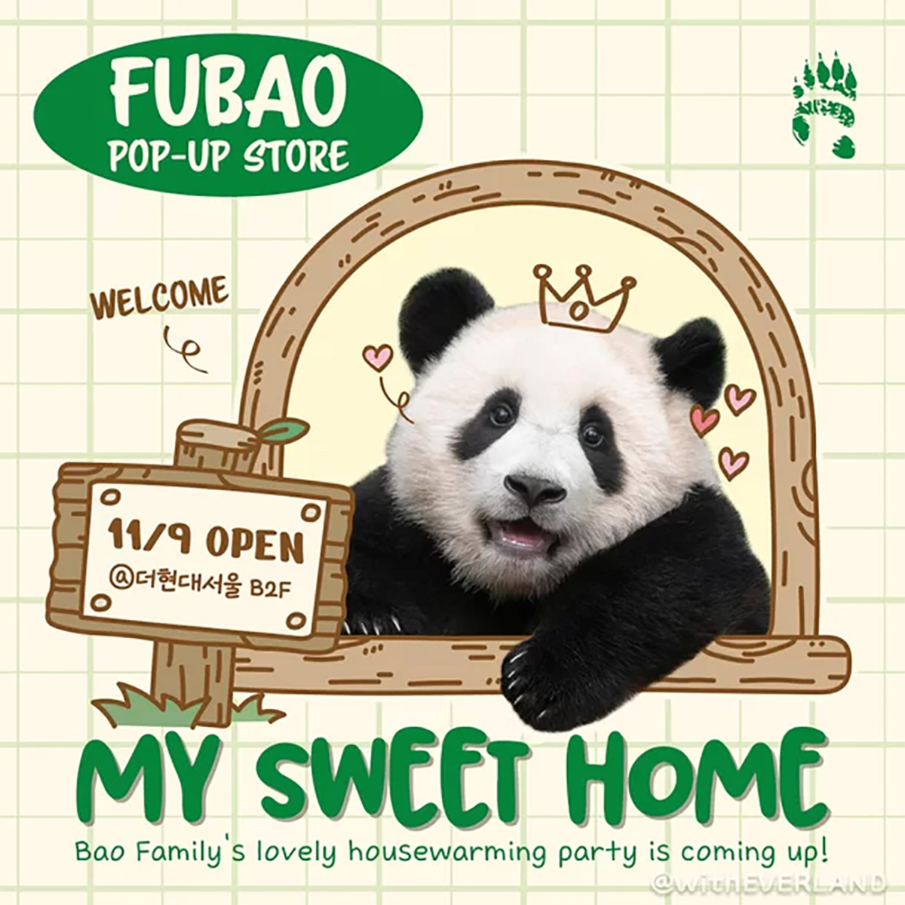 아기 판다 푸바오 팝업 스토어 : 이슈