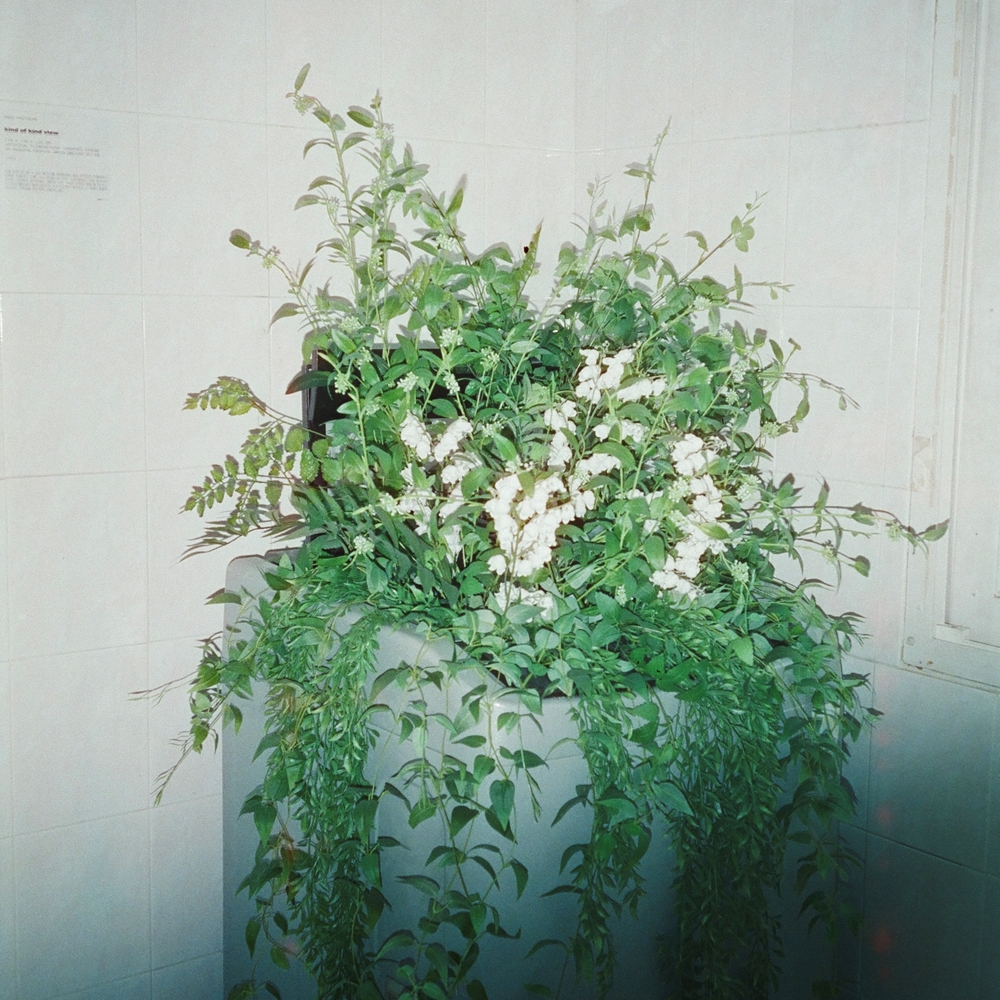 서사무엘 새로운 EP 'Love Eventually' 발표 : 이슈