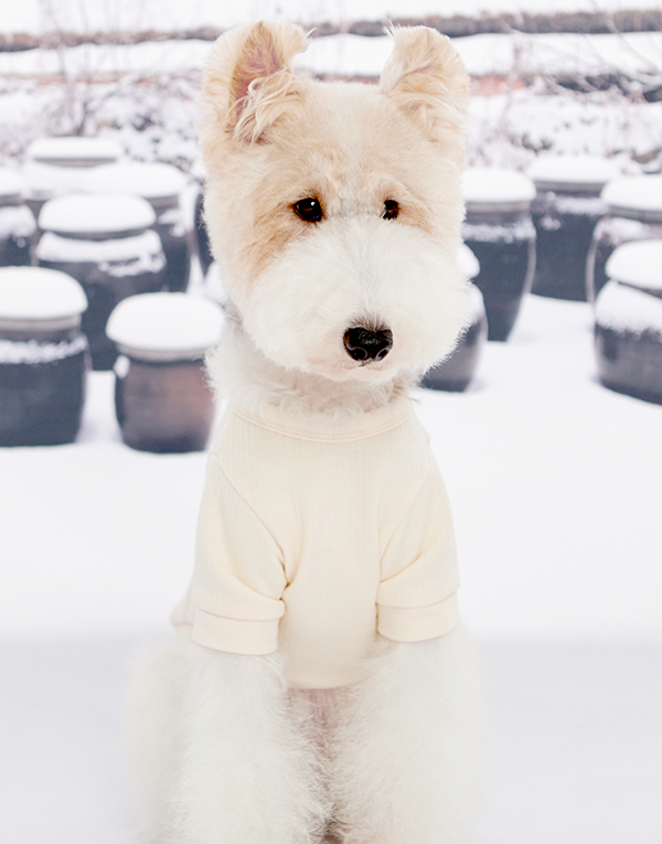 BYC, 2023 FW 반려견 내복 시리즈 공개 : 이슈