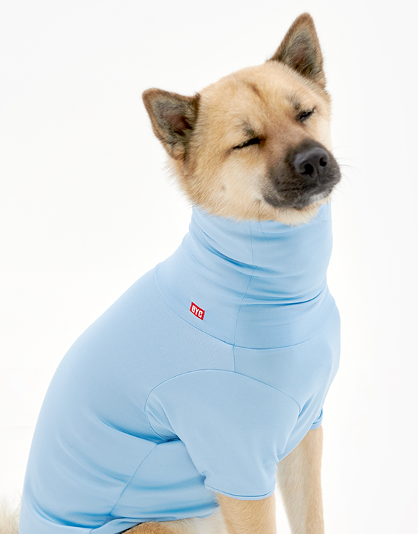 BYC, 2023 FW 반려견 내복 시리즈 공개 : 이슈