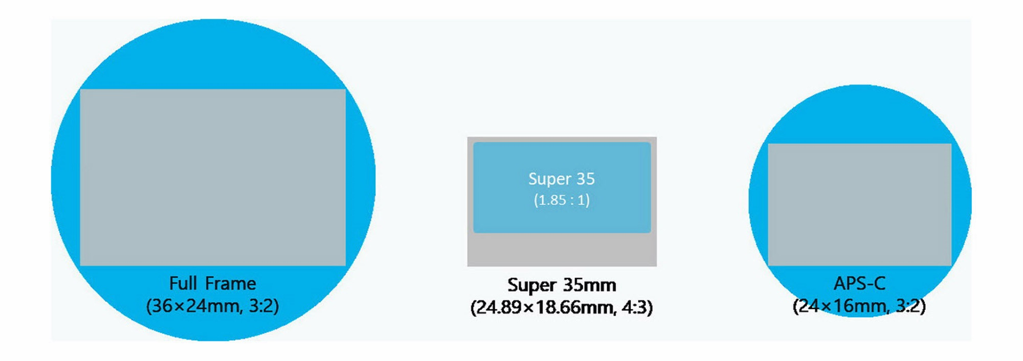 Camera Sensor 크기 : MG REVIEW