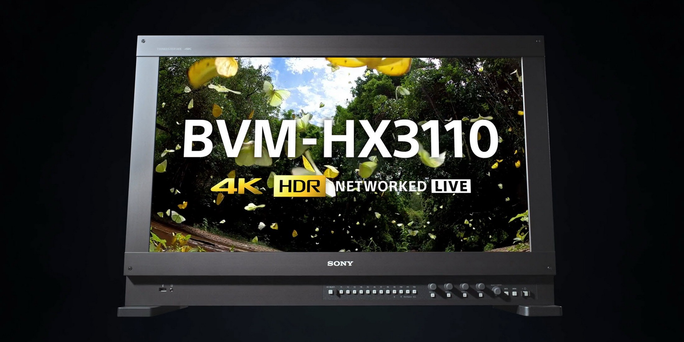 Sony, 30.5” 4K TRIMASTER HX Professional Master Monitor BVM-HX3110 : MG ...