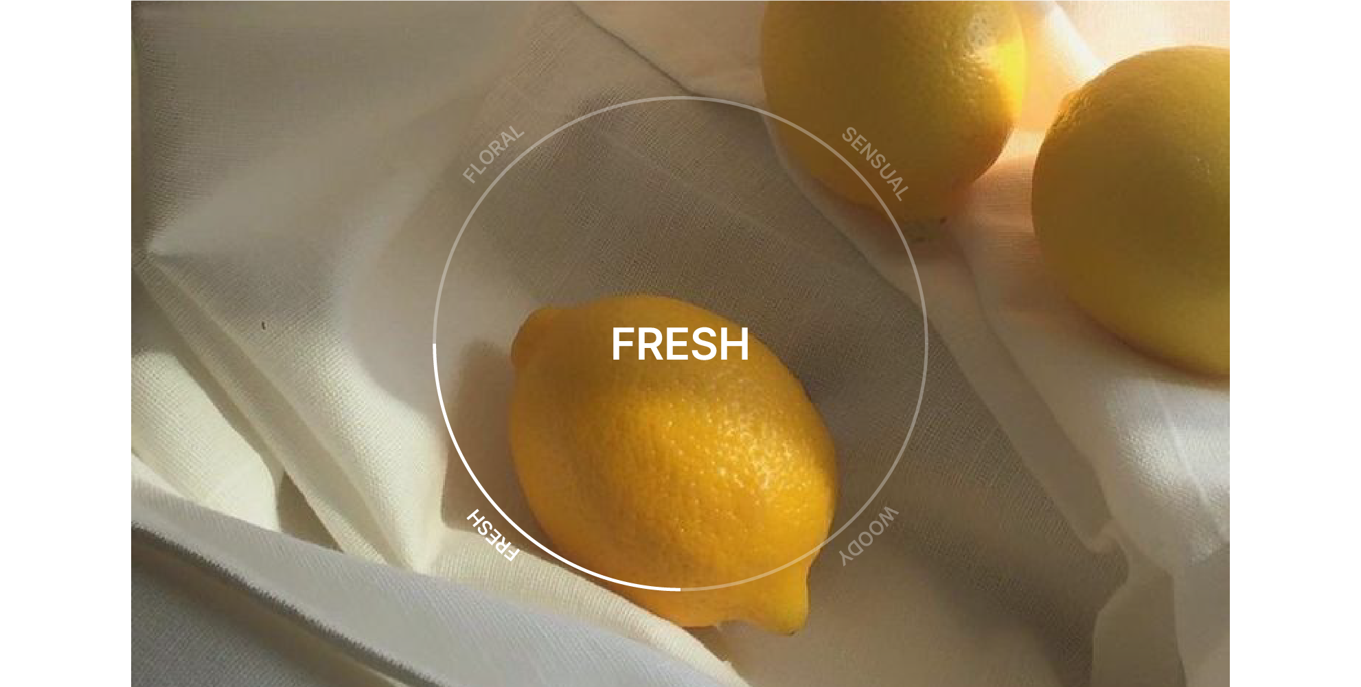 SCENT LIBRARY｜FRESH NOTE