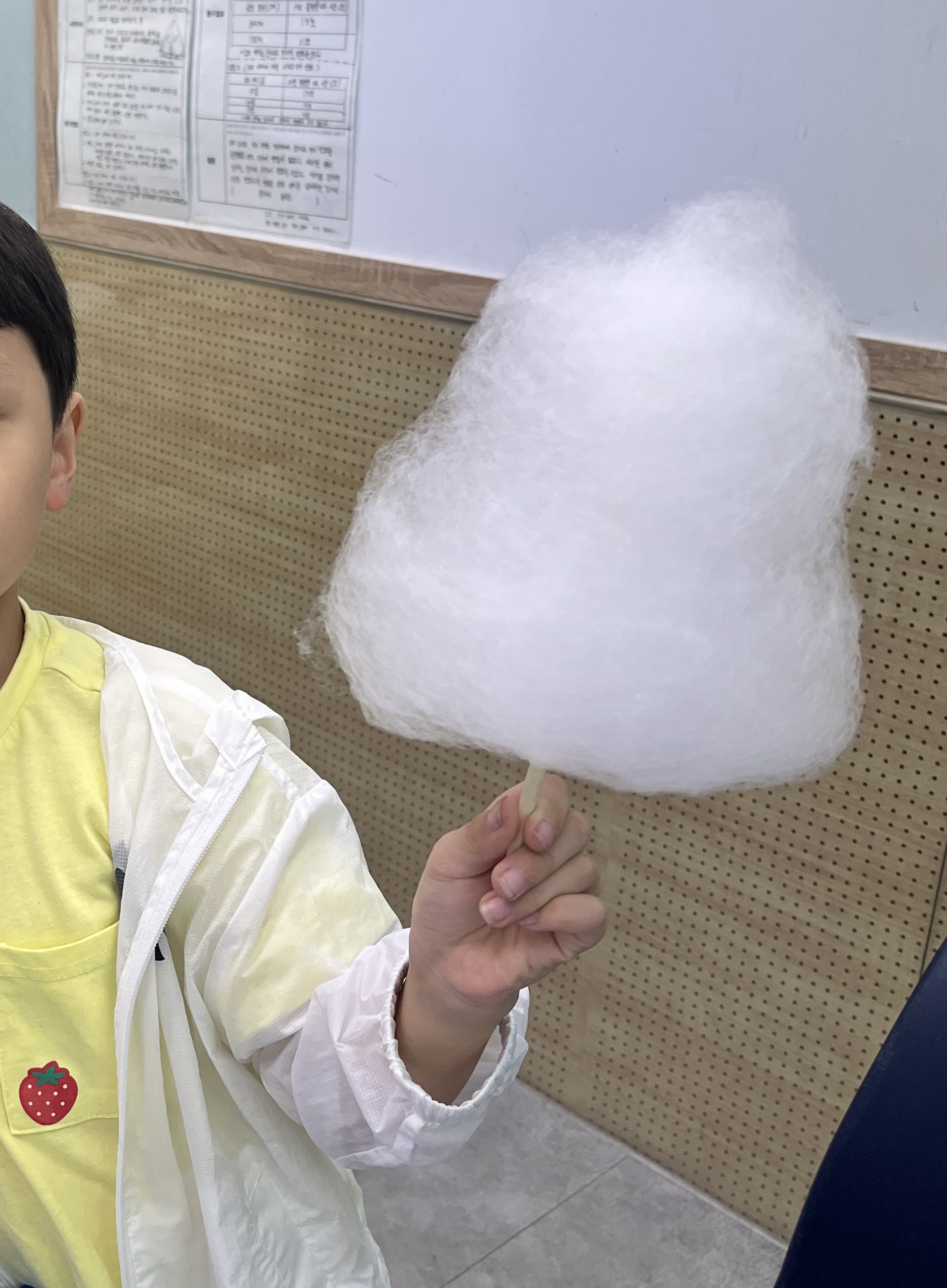 초등학교 1학년 과학수업 후기 솜사탕도 만들어봤대요 ! : 새소식