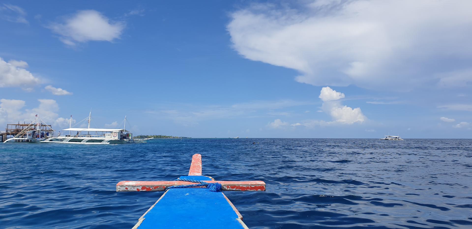 Scuba diving in Cebu, Philippines : 빅보스다이브