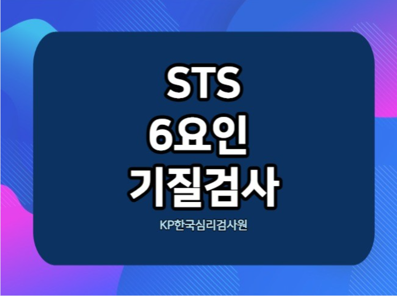 STS 6요인 기질검사 : KP한국심리검사원
