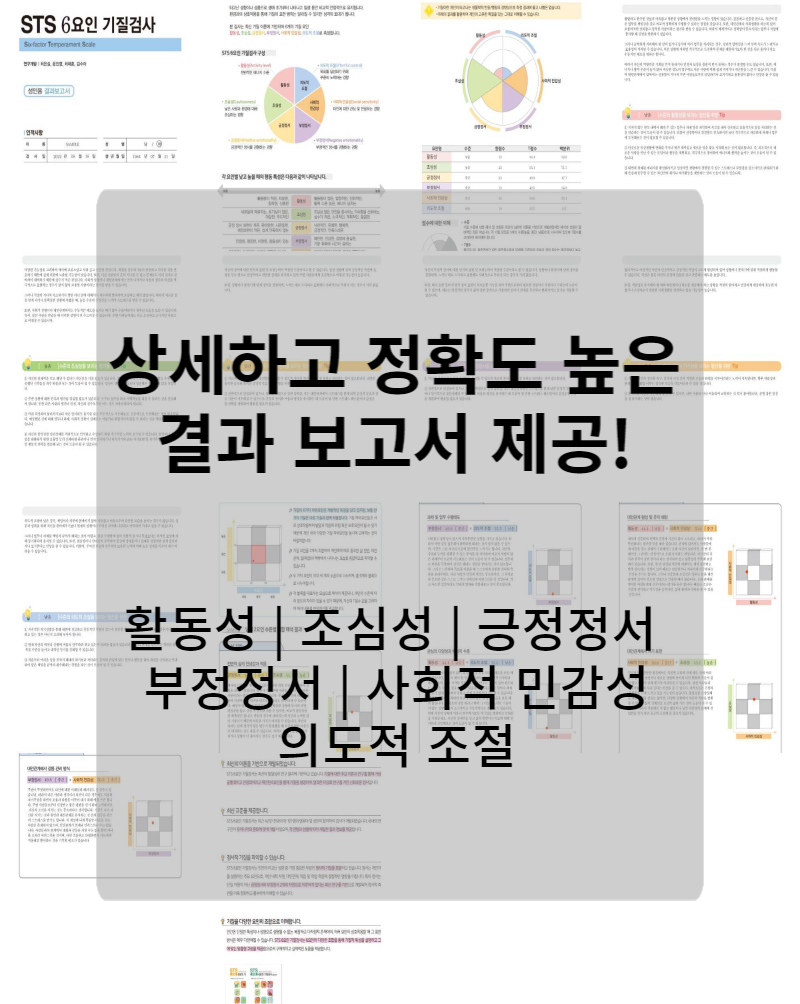 STS 6요인 기질검사 - 성인용 : KP한국심리검사원