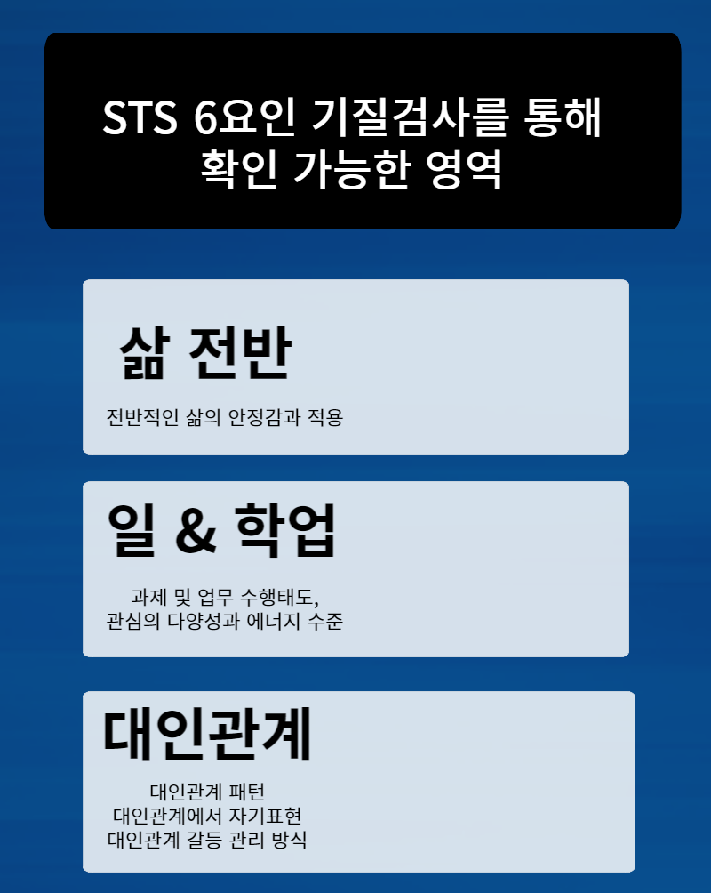 STS 6요인 기질검사 - 성인용 : KP한국심리검사원