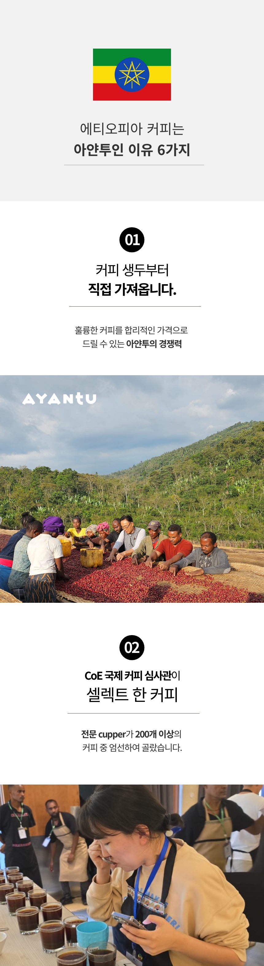 AYANTU 에티오피아 원두 전문