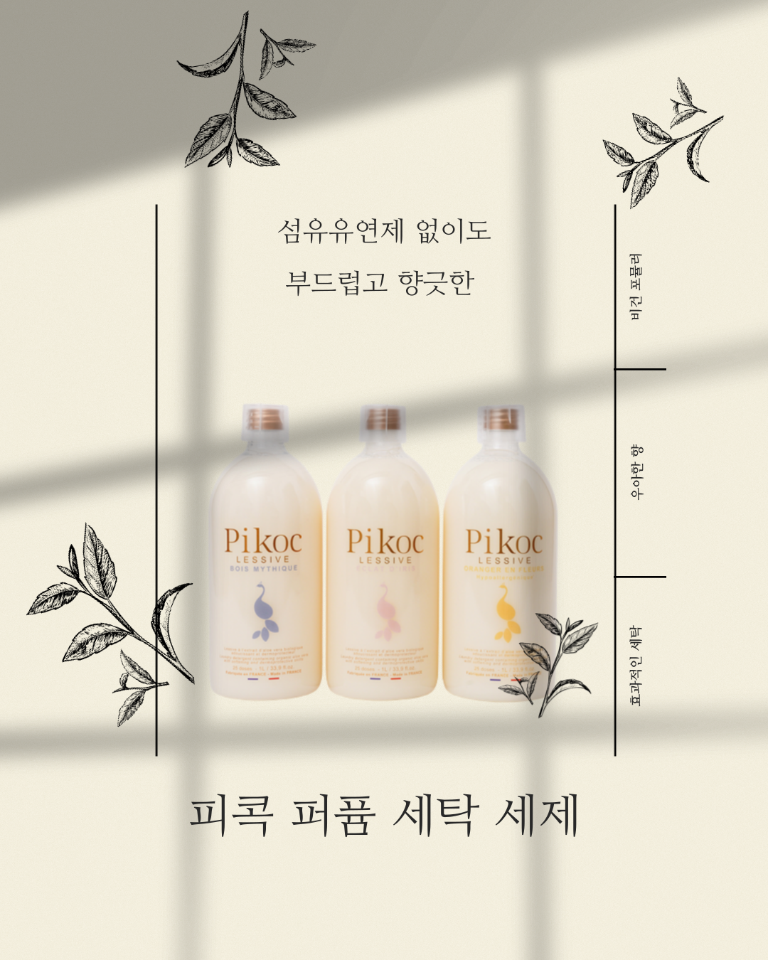 당신의 모든 일상을 향기롭게, 피콕