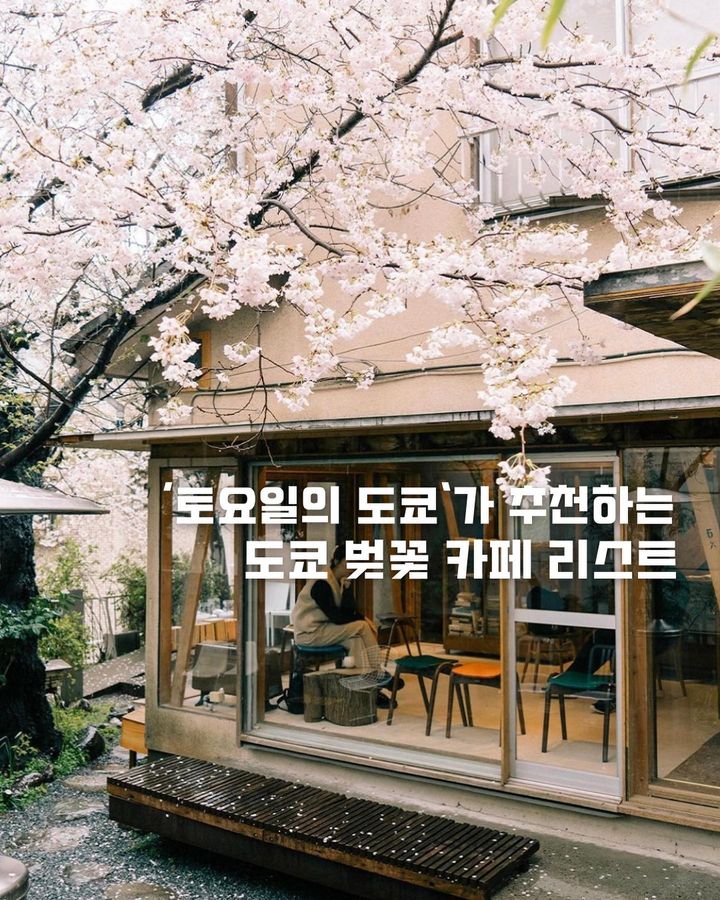 ‘토요일의 도쿄’가 추천하는 벚꽃이 예쁘게 보이는 도쿄 카페 리스트🌸 : 데패뉴 | 장소추천