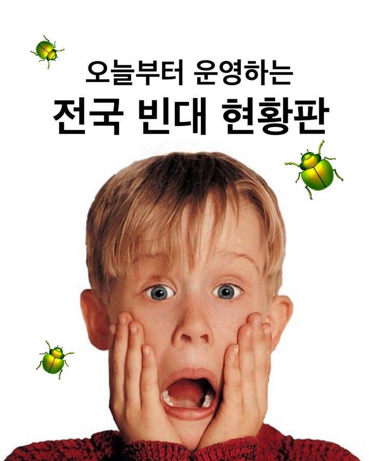 🚨 오늘부터 ‘전국 빈대 현황판’ 만들어 대응 🚨 : 데일리패션뉴스 - dafanew