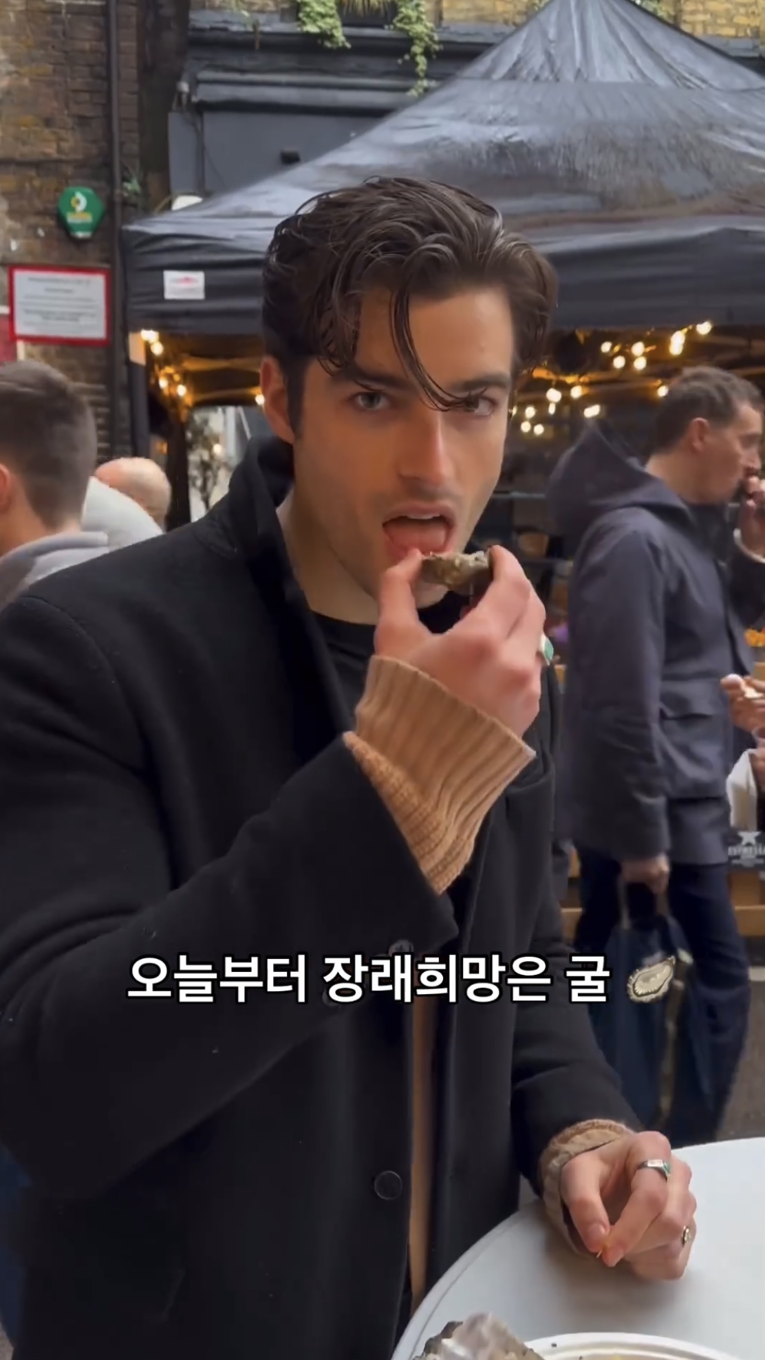 오늘부터 장래희망은 굴 🦪 : 데일리패션뉴스 - dafanew