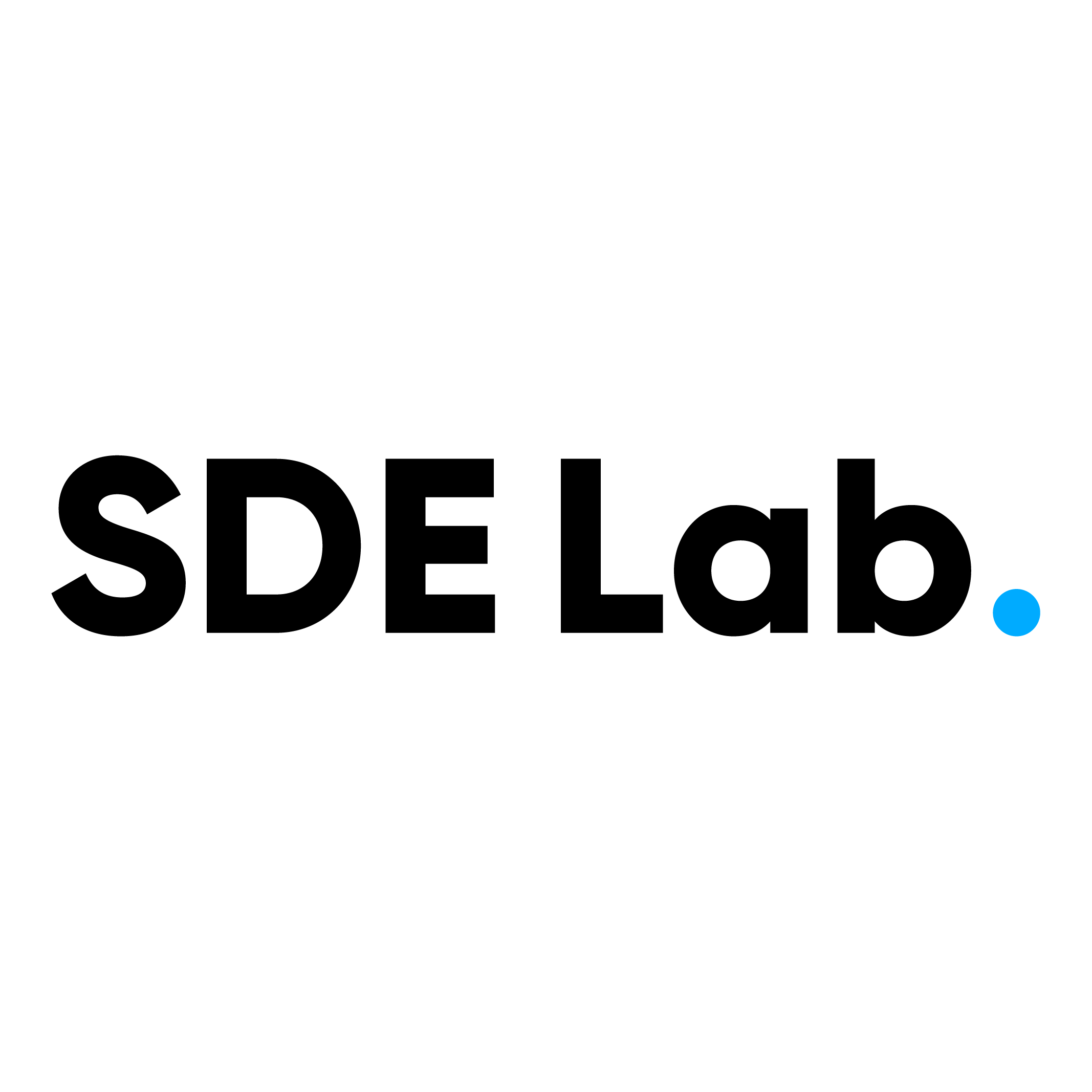 Hongik_SDE lab.