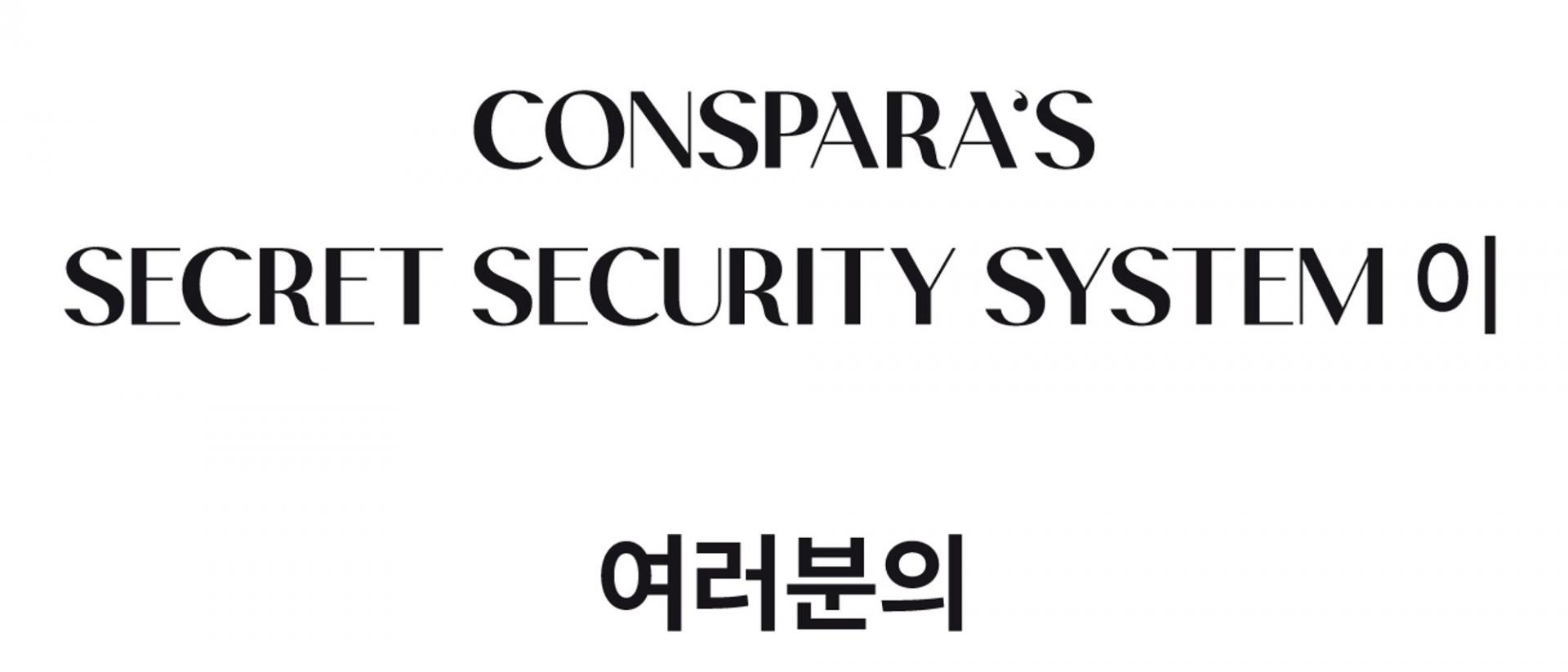 퍼펙트가드 웨이스트백 T1 : CONSPARA