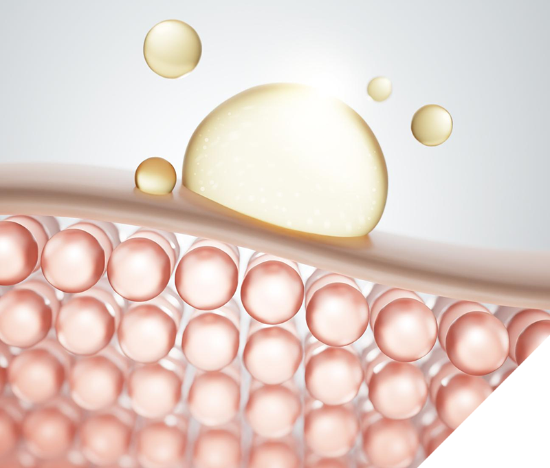 ludient 루디언트