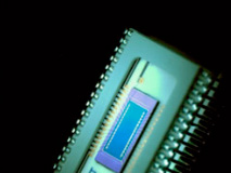 PSD-Array : 옵틱클라우드 | Opticcloud