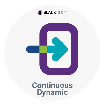 보안진단 도구 ｜ Continuous Dynamic