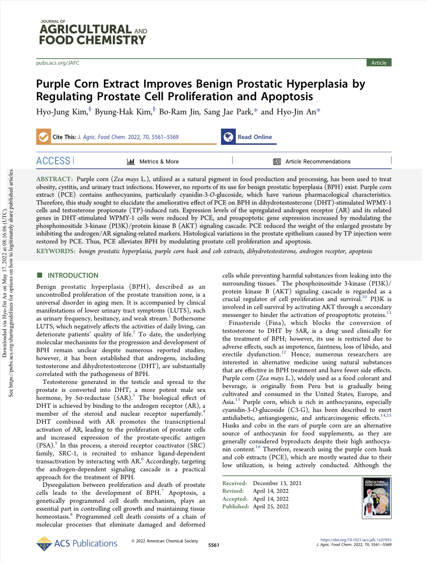 Purple Corn Extract Improves Benign Prostatic Hyperplasia by Regulating ...