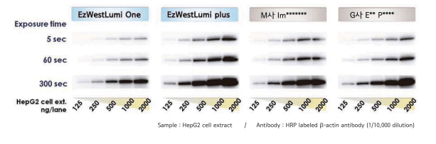 시너진 제품 정보 Atto 2332632