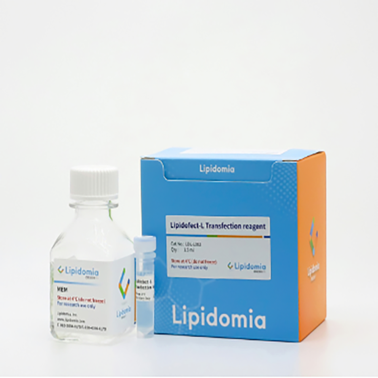 시너진 제품 정보 Lipidomia Lipidofect-L with MEM