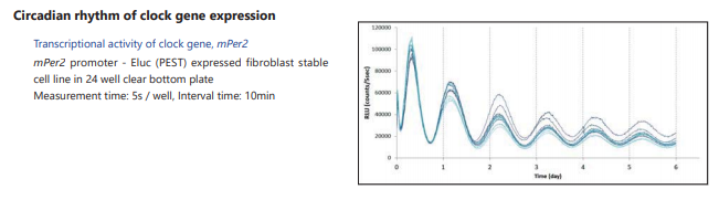 시너진 제품 정보 Atto 3510140