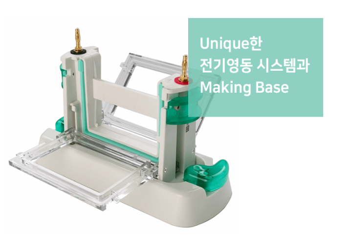 시너진 제품 정보 SWE-C6-Servicebio