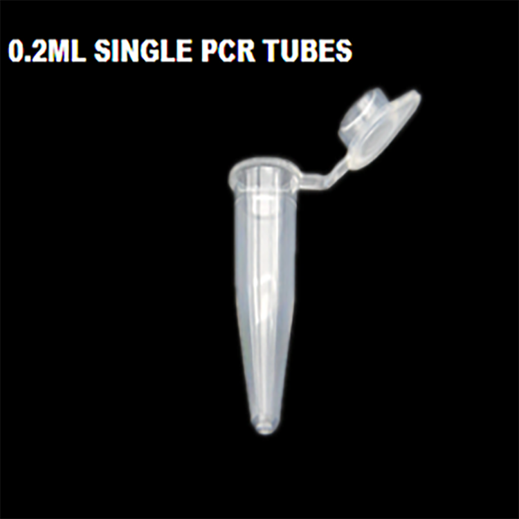시너진 제품 정보 GMB GPCR023