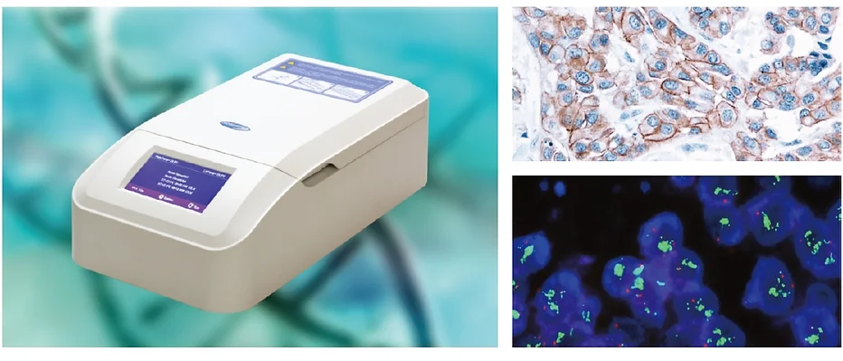 시너진 제품 정보 Allsheng TDH-500