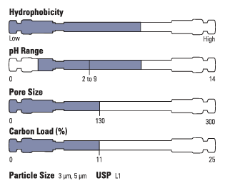 Hypersil™ BDS C18 Column