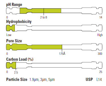 Hypersil GOLD™ SAX LC Column