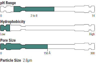 Accucore™ 150 Amide HILIC LC Column